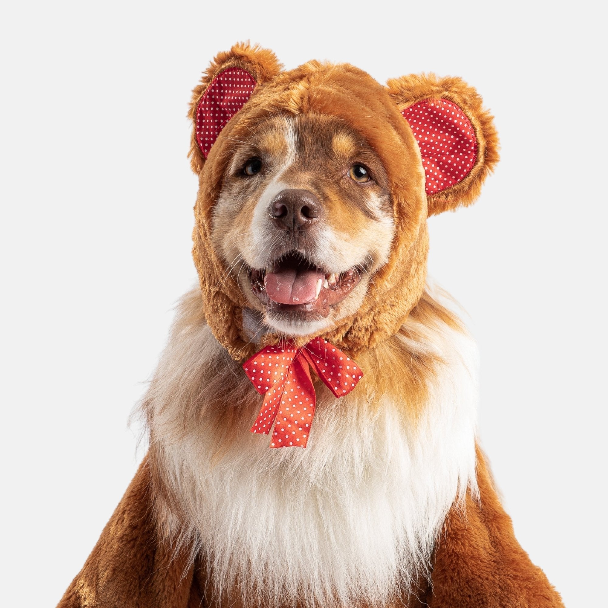 Costumes – Dollar Woof Club